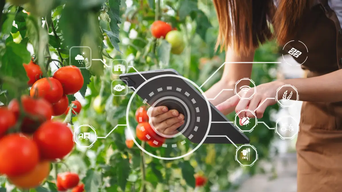 The AgTech Ecosystem In The UAE - Stakeholder Opportunities For ...